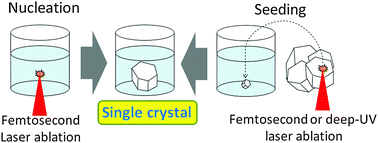 Laser ablation for protein crystal nucleation and seeding - Chemical ...