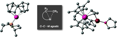 Intramolecular C–C agostic complexes: C–C sigma interactions by another ...