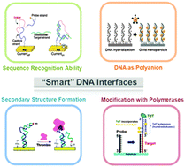 “Smart” DNA interfaces - Chemical Society Reviews (RSC Publishing)