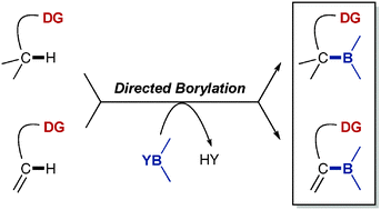 Functional group directed C–H borylation - Chemical Society Reviews ...