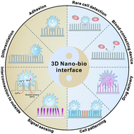 Three-dimensional nano-biointerface as a new platform for guiding cell ...