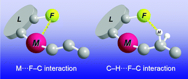 Attractive interactions in olefin polymerization mediated by post ...
