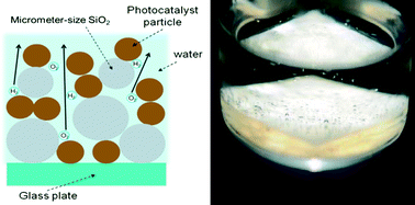 Fabrication of photocatalyst panels and the factors determining their ...