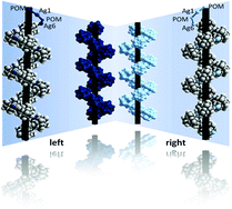 An unprecedented 3D POM–Ag architecture with intertwined and ...