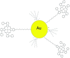 Photophysical and photochemical properties of a novel thiol terminated ...