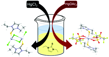Coordination and extraction of mercury(ii) with an ionic liquid-based ...