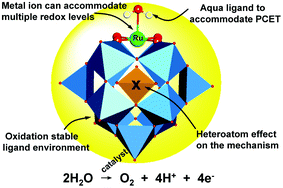 DFT characterization on the mechanism of water splitting catalyzed by ...