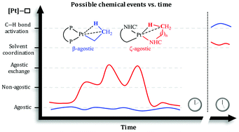 Solution dynamics of agostic interactions in T-shaped Pt(ii) complexes ...