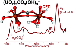 Structural characterization of the aqueous dimeric uranium(vi) species ...