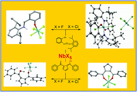 Coordination complexes of NbX5 (X = F, Cl) with (N,O)- and (O,O)-donor ...