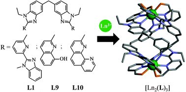 Monitoring helical twists and effective molarities in dinuclear triple ...