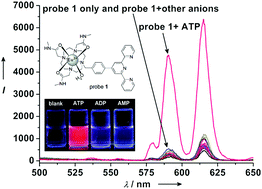 An ATP-selective, lanthanide complex luminescent probe - Dalton ...