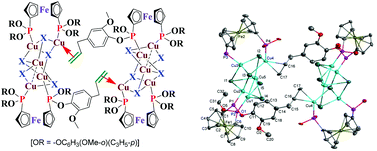 Synthesis, transition metal chemistry and catalytic reactions of ...