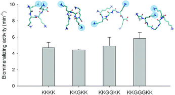 Effect of peptide conformation on TiO2 biomineralization - Dalton ...