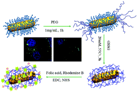 Glutathione modified gold nanorods with excellent biocompatibility and ...