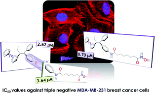 Efficient new constructs against triple negative breast cancer cells ...
