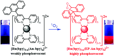 Development of singlet oxygen-responsive phosphorescent ruthenium(ii ...