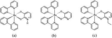 Synthesis and characterization of ruthenium polypyridyl complexes with ...