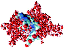 Mineralization of DNA into nanoparticles of hydroxyapatite - Dalton ...