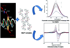 Synthesis and structural characterization of dioxomolybdenum and ...