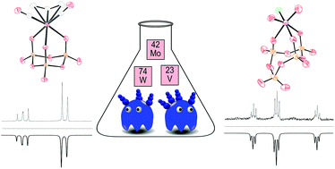 Facile synthesis of mononuclear early transition-metal complexes of ...