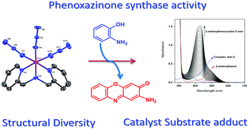 Methylene bridge regulated geometrical preferences of ligands in cobalt ...