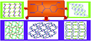 Five metal–organic frameworks from 3,4-dimethylphenyl substituted ...