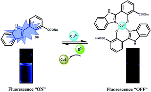 New fluorescent sensor for Cu2+ and S2− in 100% aqueous solution based ...