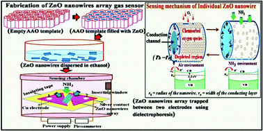 Probing the highly efficient room temperature ammonia gas sensing properties of a luminescent ...