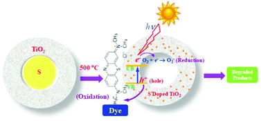 Visible light induced photocatalytic activity of sulfur doped hollow ...