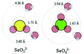 Structure and hydrogen bonding of the hydrated selenite and selenate ...