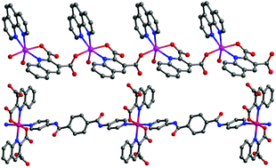 Metal(ii) complexes synthesized based on quinoline-2,3-dicarboxylate as ...