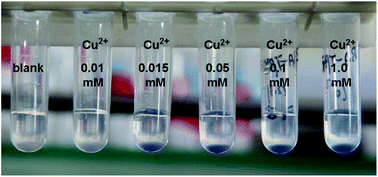 Colorimetric detection of copper and efficient removal of heavy metal ...