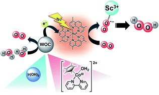 Production of hydrogen peroxide as a sustainable solar fuel from water ...