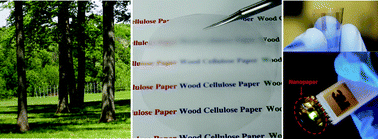 Transparent paper: fabrications, properties, and device applications ...