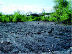 Contaminated land: can acute exposure be a significant health risk? Two ...