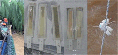 Application of diffusive gel-type probes for assessing redox zonation ...