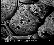 Electron microscopy and composition of raw acorn starch in relation to ...