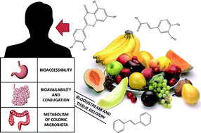 Phenolic compounds: their journey after intake - Food & Function (RSC ...