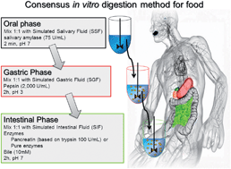 A standardised static in vitro digestion method suitable for food – an ...