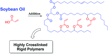 Soybean Oil Structure