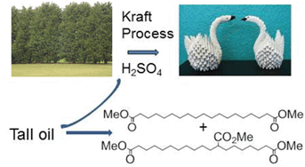 Polymerisable di- and triesters from Tall Oil Fatty Acids and related ...