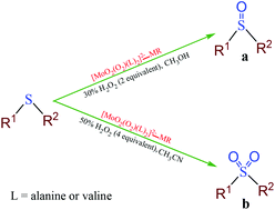 Merrifield resin supported peroxomolybdenum(vi) compounds: recoverable ...