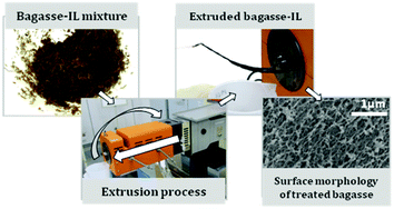 Continuous pretreatment of sugarcane bagasse at high loading in an ...
