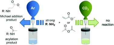 Carbon dioxide as a reversible amine-protecting agent in selective ...