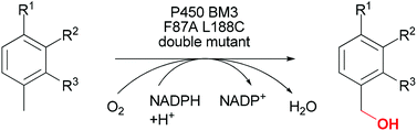 Benzylic hydroxylation of aromatic compounds by P450 BM3 - Green ...