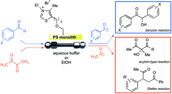 Thiazolium-functionalized polystyrene monolithic microreactors for ...