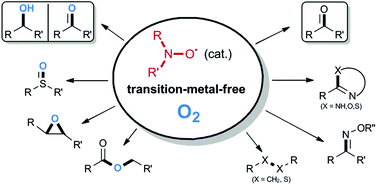 Nitroxide-catalyzed transition-metal-free aerobic oxidation processes ...