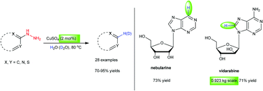 Efficient synthesis of nebularine and vidarabine via dehydrazination of ...