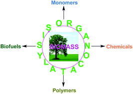 Organocatalysis in biorefining for biomass conversion and upgrading ...